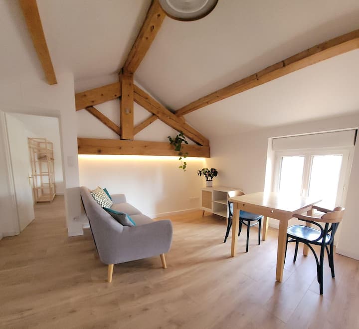 Le Nid Cosy : Parking Et Climatisation - Romans-sur-Isère