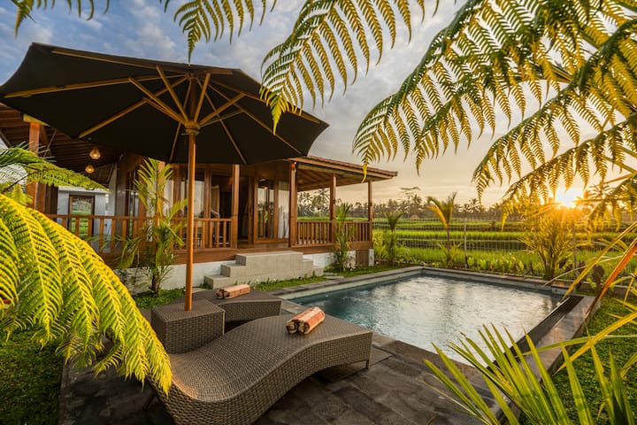 New 1br Pool Villa With Stunning Ricefield View - Bali