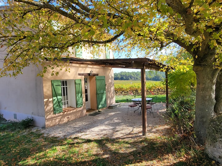 L'échappée Au Milieu Des Vignes - Nans-les-Pins