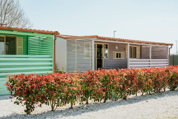Gotha Beach Srl - Casetta Lavanda - Ladispoli