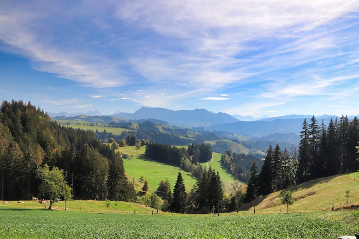 Emmental -Alpensicht, Zw. Bern-thun - Switzerland