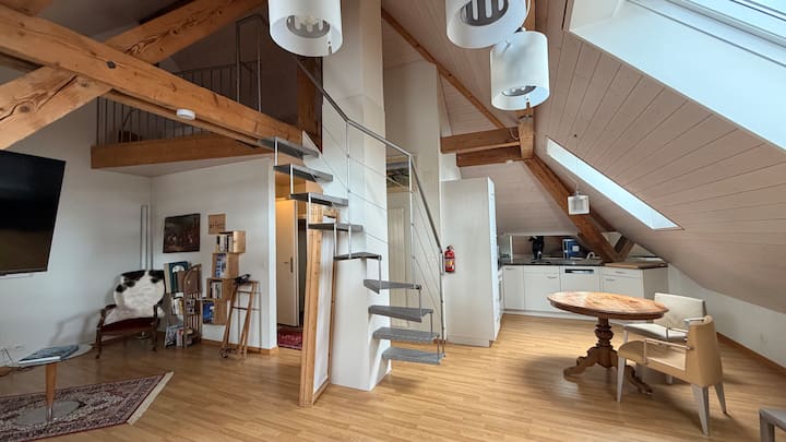 Charmantes Dachapartment In Bern Breitsch - Berna