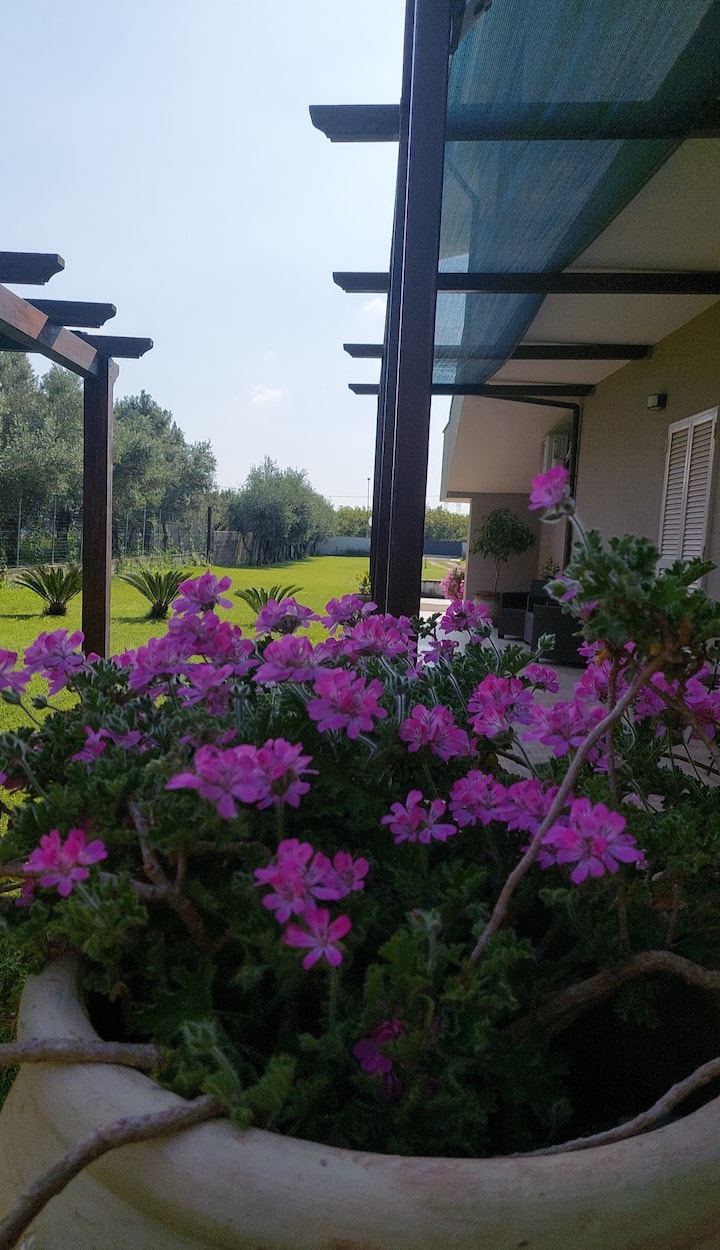 Appartamento Con Giardino - Paestum, Salerne, Italy