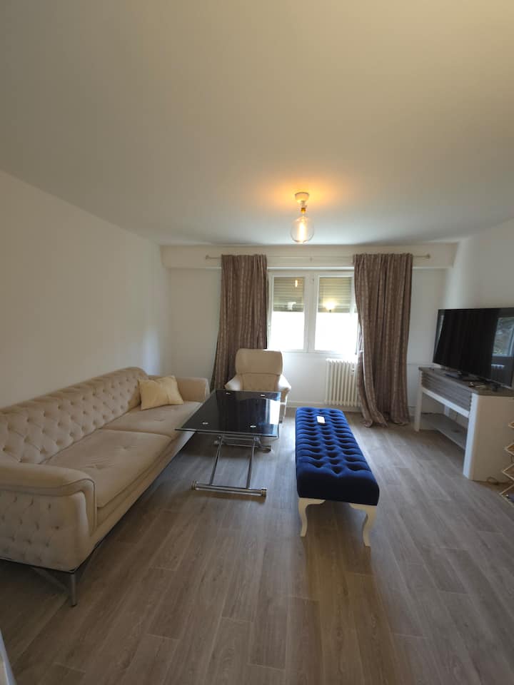 Appartement Spacieux Et Central - Mulhouse