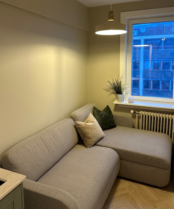 Ny Penthouse Leilighet, Sentral, Utsikt Og Heis - Oslo