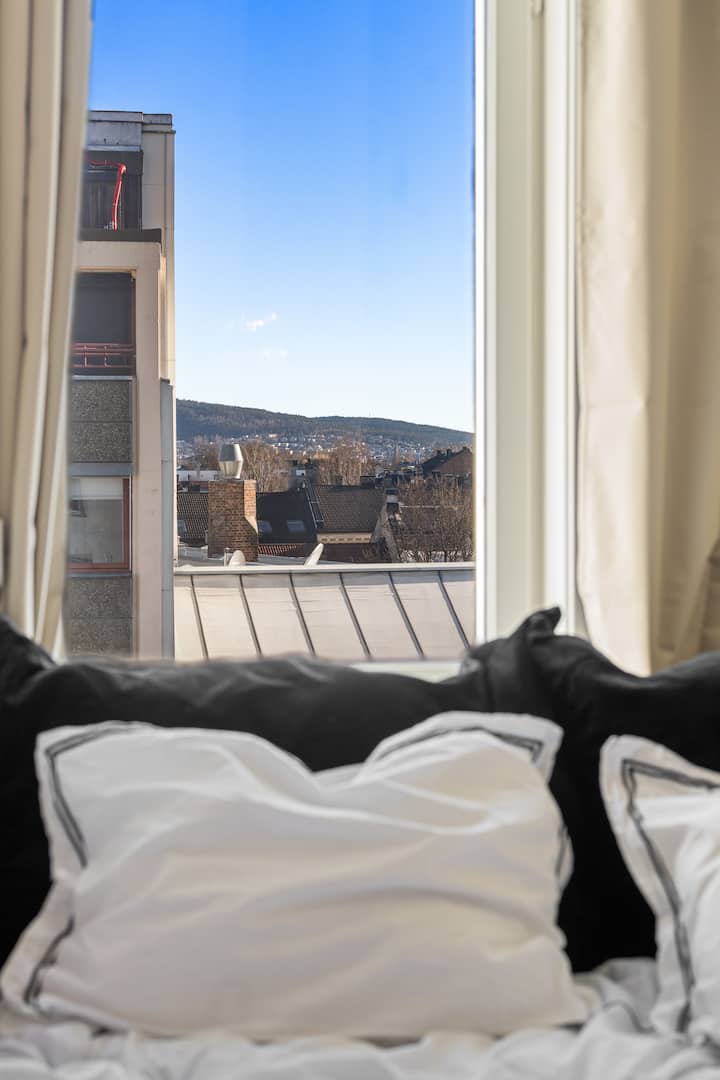 New Penthouse Apartment, Best Location Oslo, Lift - Oslo