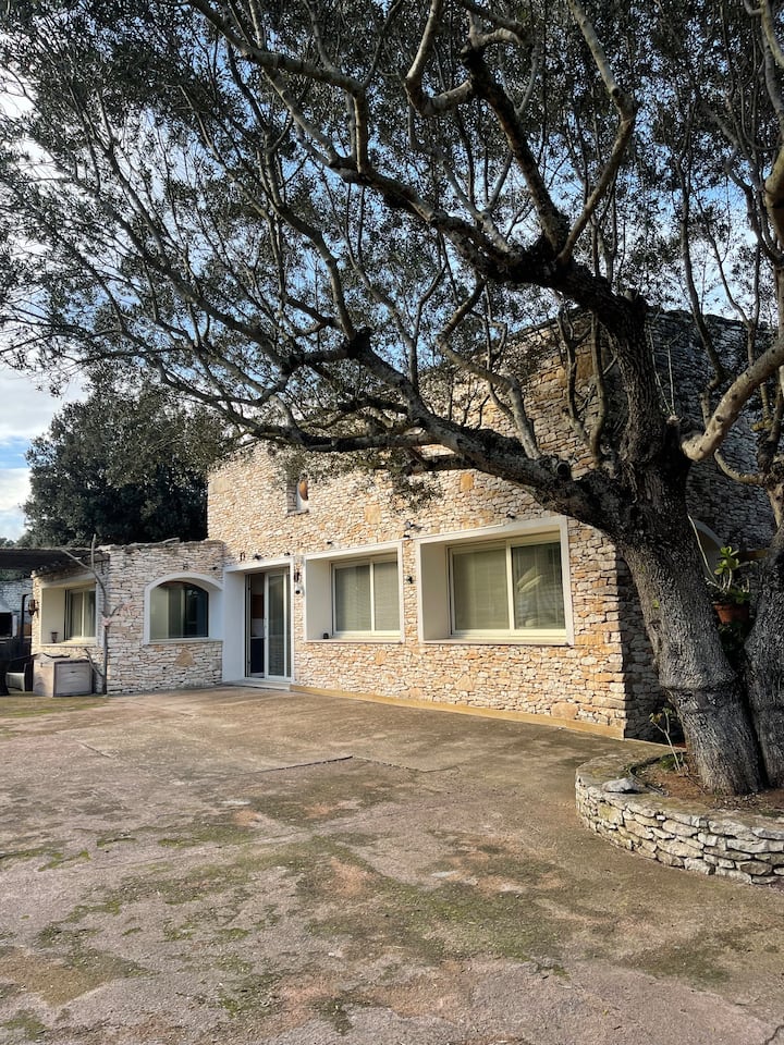 Villa Maestrale. Grande Maison De Charme - Bonifacio