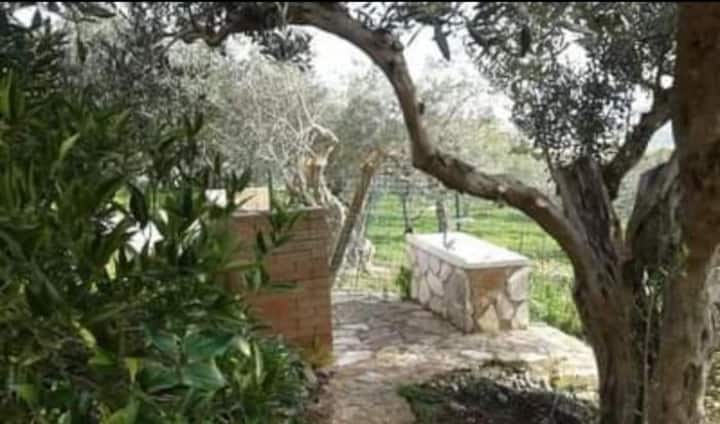 Villa Principe - Scopello