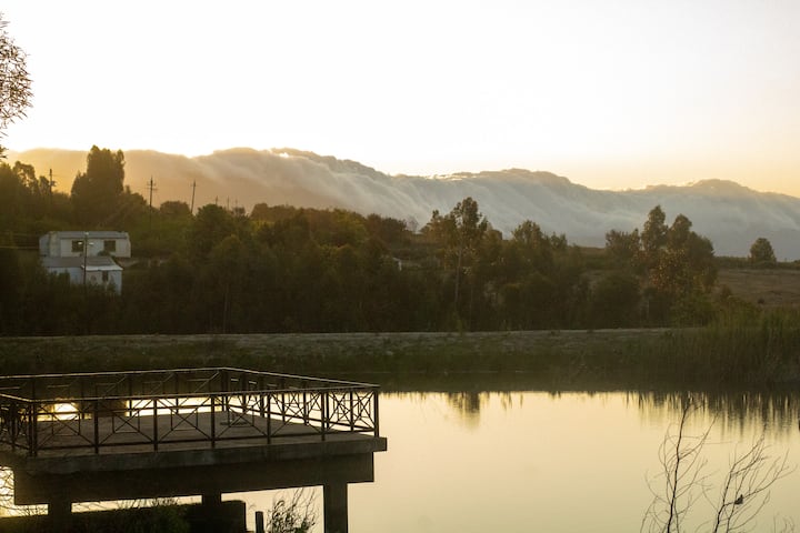 Karoo Berg King Protea Unit - Montagu