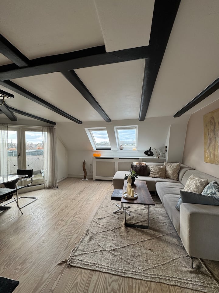 Lys Oase På Frederiksberg Med Smuk Udsigt - Copenhague