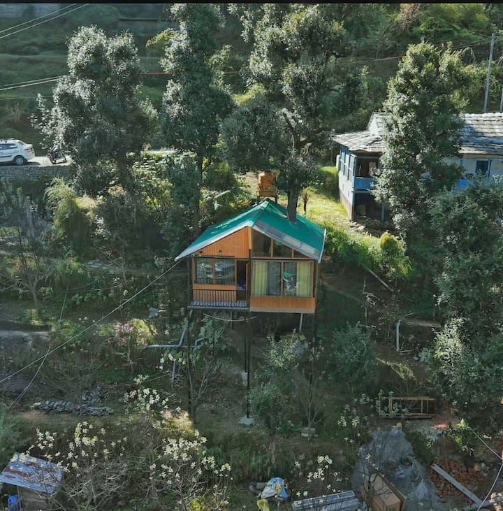 Springfield Treehouse - Jibhi