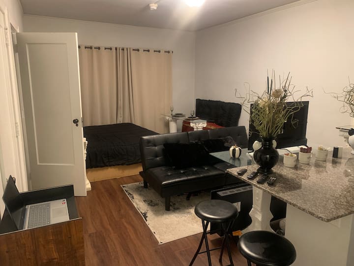 Free Parking & Bike Rental W/cozy Downtown Studio! - Peoria, IL
