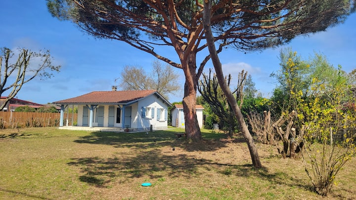 Maison Cosy Avec Jardin, Entre Océan Et Bassin - Lège-Cap-Ferret