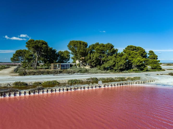 Cabane Face Aux Eaux Rose - Aigues-Mortes