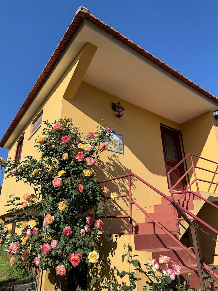Ruhige Ferienwohnung Mit Großem Garten - Santa Comba Dão