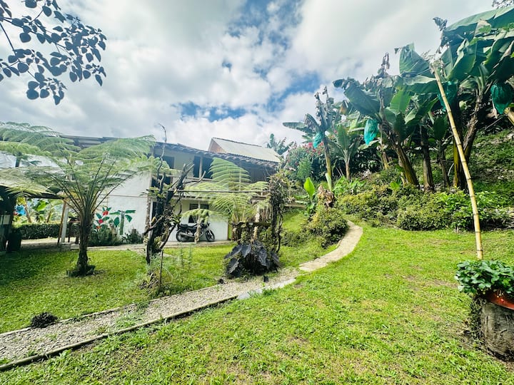 Cabaña Banana Selva Y Cafe Piso 1 - Andes