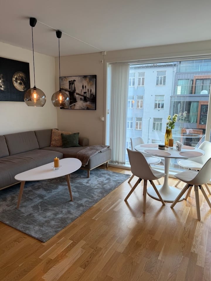 Sentrumsnær Toppleilighet I Trondheim - Trondheim