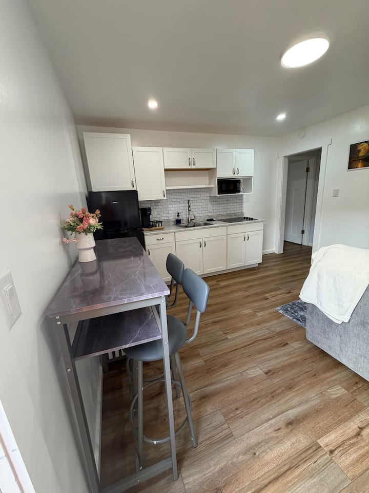 Modern Cozy Guesthouse W/ Private Entrance. - Durham, NC