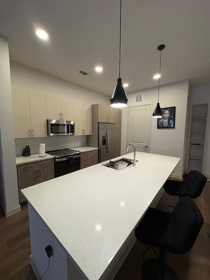 Condo/apt Downtown Space City Houston - Houston, TX