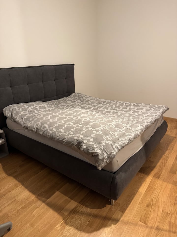 Camera In Affitto In Un Appartamento Nuovo - Lugano