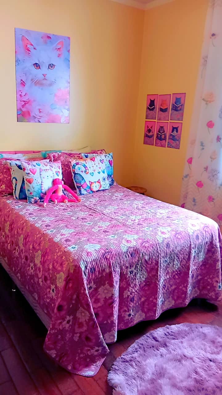 Quarto Próximo Ao Hospital Regional. - Pouso Alegre