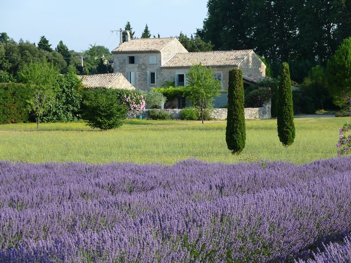 Authentique Mas En Pierre - 11 Pers - Visan