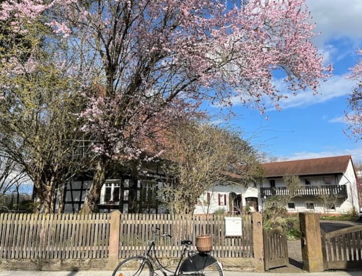 Chambre D'hôtes Flora - Art&nature Près Strasbourg - Kehl