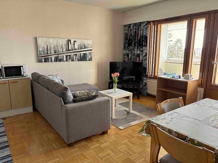 Viihtyisä Saunallinen Kaupunkiasunto - Lieksa