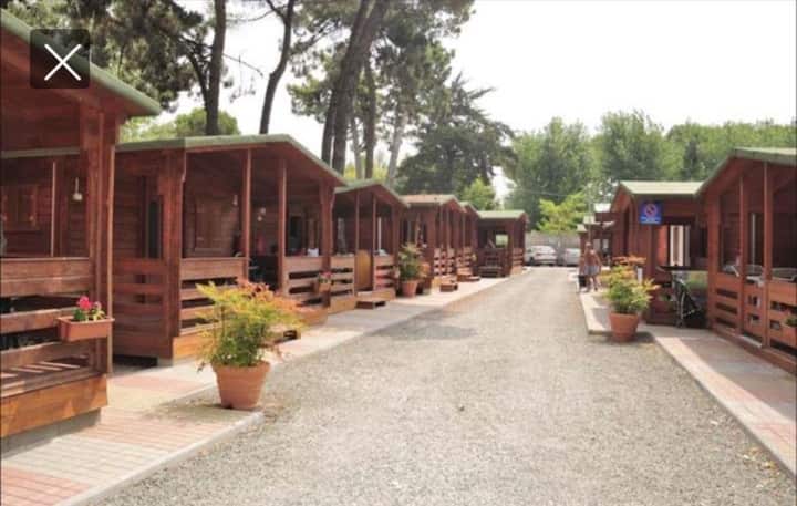 Bungalow 300 My Dal Mare - Marina di Massa