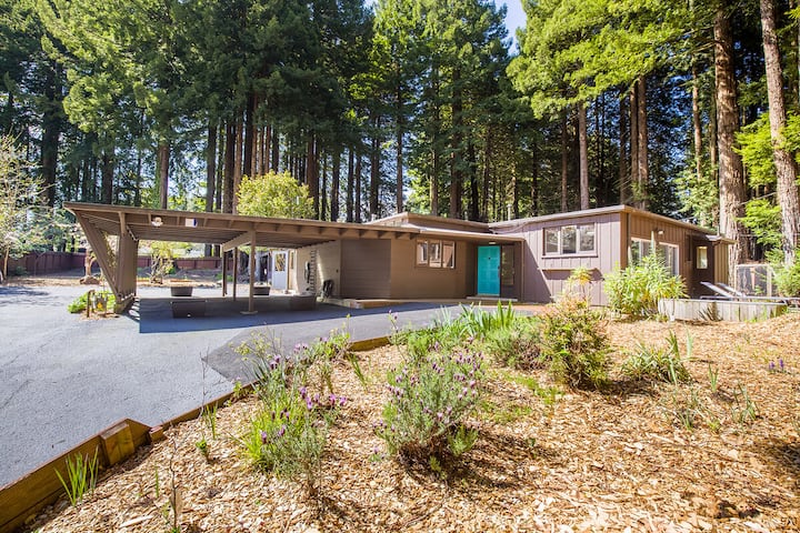 Redwood Retro- Vintage Charm In The Redwoods - Eureka, CA