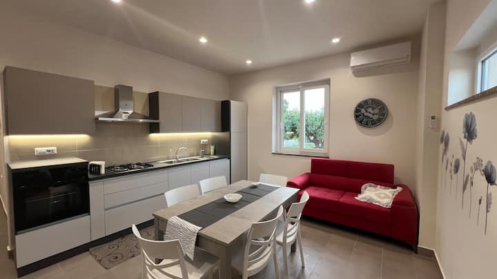 Morinelli Vip - Casal Velino