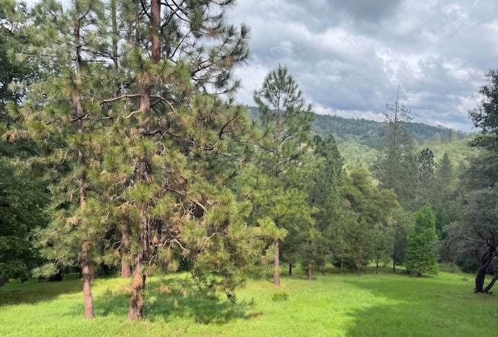 Cabin In Groveland | Yosemite Home | Lake Retreat - Groveland, CA