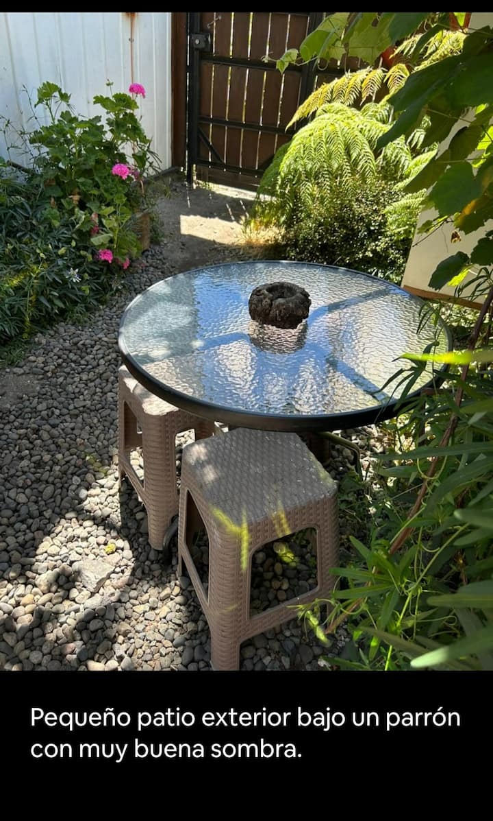 Mini Loft Muy Central Para 2 - Pucon