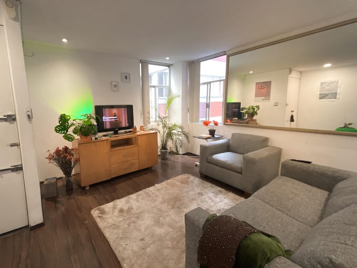 Condo In Condesa W/parking / Walk To Top Spots - Mexico