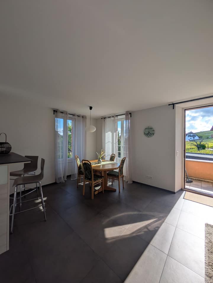 Appartement Au Cœur Des Vignes De Féchy - Canton de Vaud