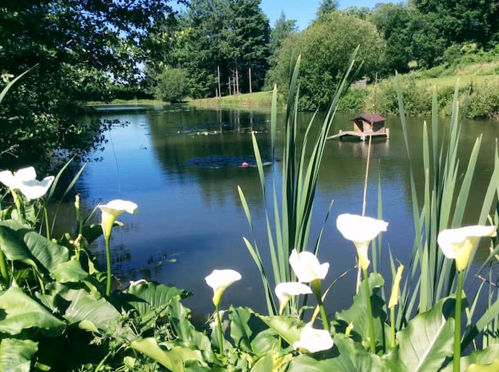 Gite 2 Bruyère-la Sapinière (24)-pêche-piscine - Nontron