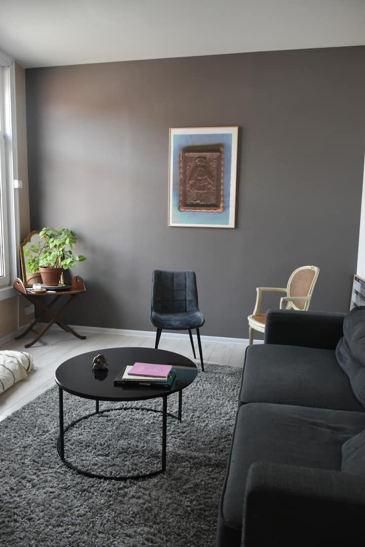 Appartement Entier Lumineux Et Spacieux - Croix