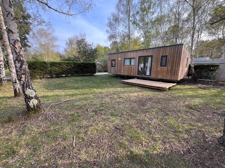 Mobilhome Bois 6/8 Personnes - Hourtin Plage