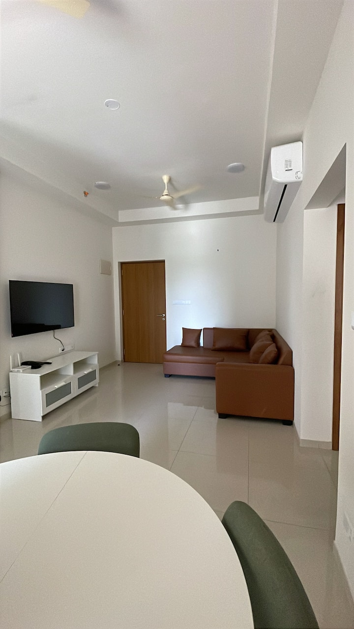 Wardha_sunflower2 - Ahmedabad