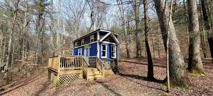 Honey Bear Haven Tiny Home - Suches, GA