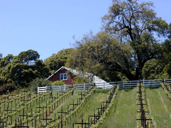 Vacation Rentals In Cloverdale, California - Cloverdale, CA