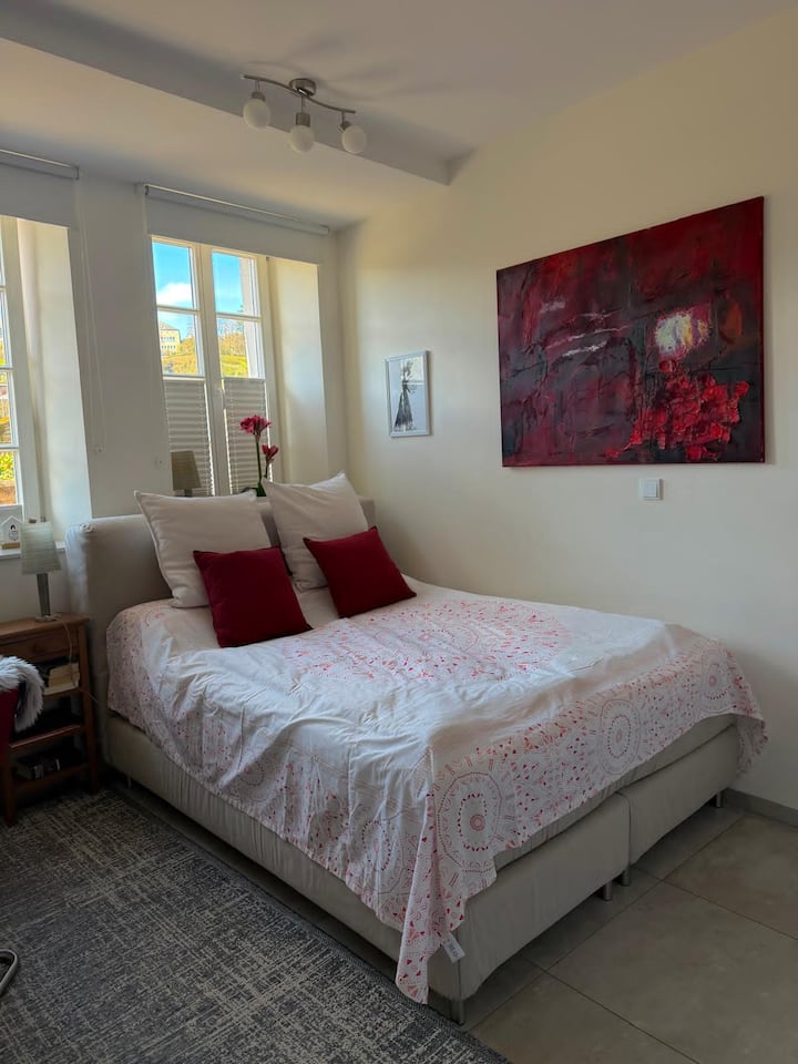 "La Petite Ferienwohnung Direkt An Der Mosel" - Trèves