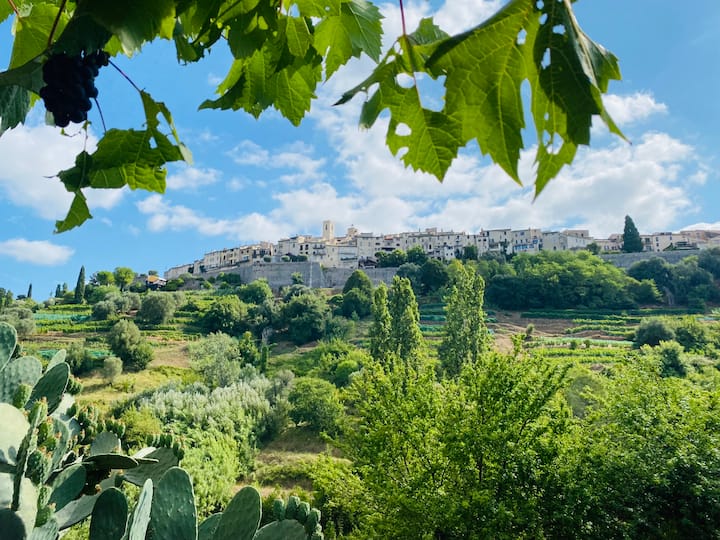 Havre De Paix Avec Jardin – Saint-paul De Vences - Saint-Paul-de-Vence