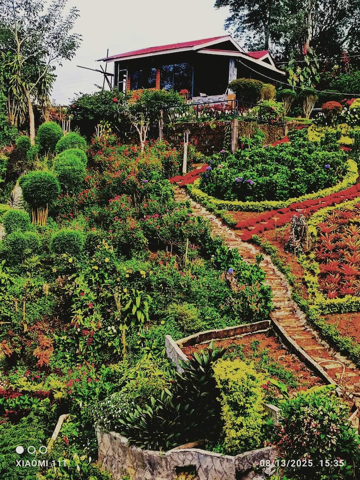 Quinto's Farm Glasshouse•mt Apo View•cool Breeze - Digos City