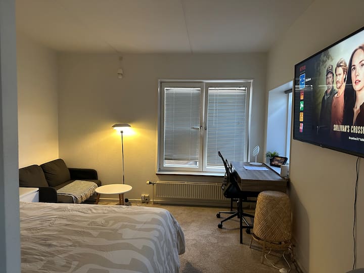 Apartment In Copenhagen Marina + 2 Free Bikes - Copenhagen