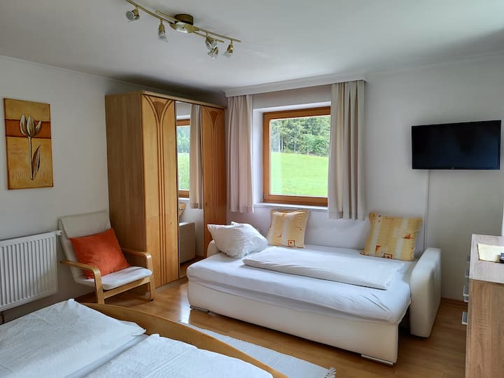 Apartment Schnell App 1 - Flachau