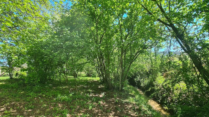 Le Petit Paradis En Provence - Tourtour