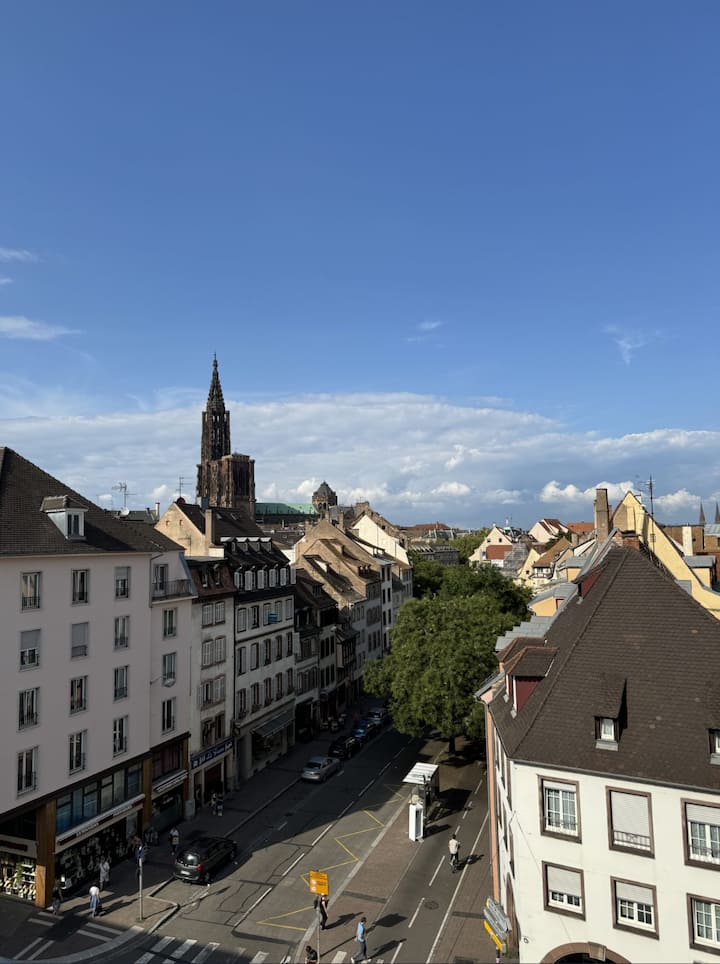 Superbe Logement Dernier éTage Vue Cathédrale - Strasbourg