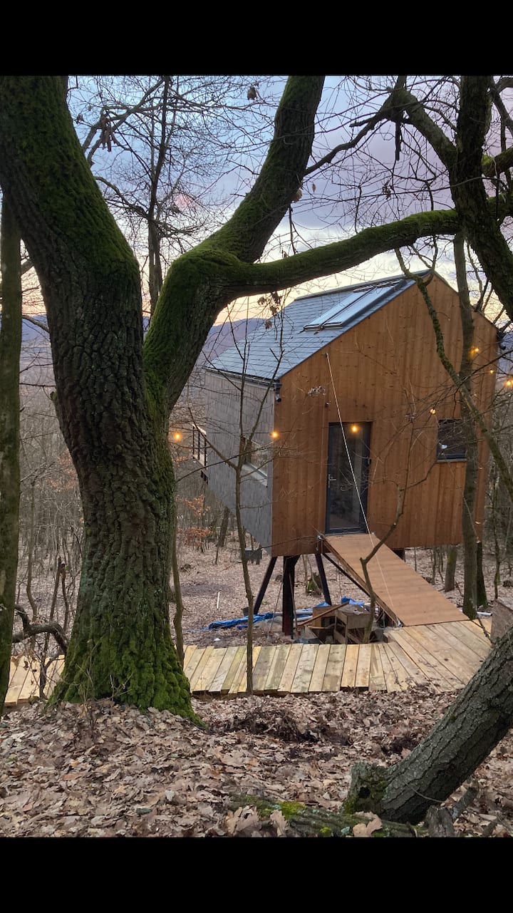 Galambdúc Lombház - Visegrád