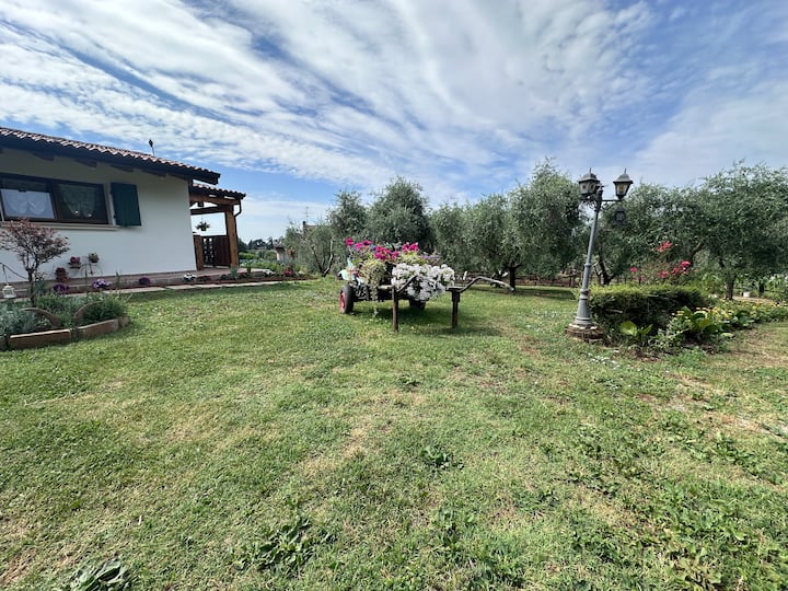 La Pace Del Brolo Degli Agnellini - Lombardie